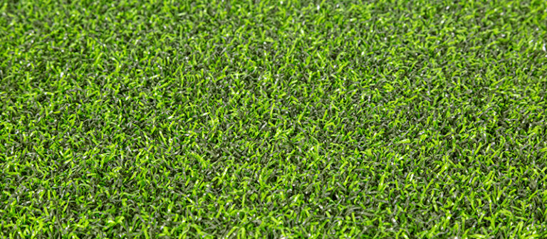 Premier Pro Putt – Premier Turf AZ